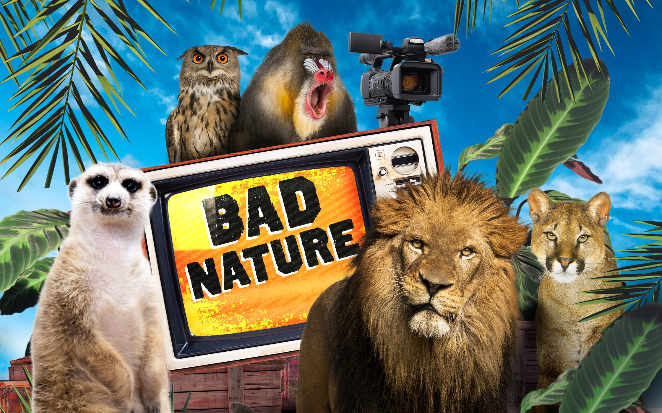 9story-banner-Bad-Nature - 9 Story Media Group